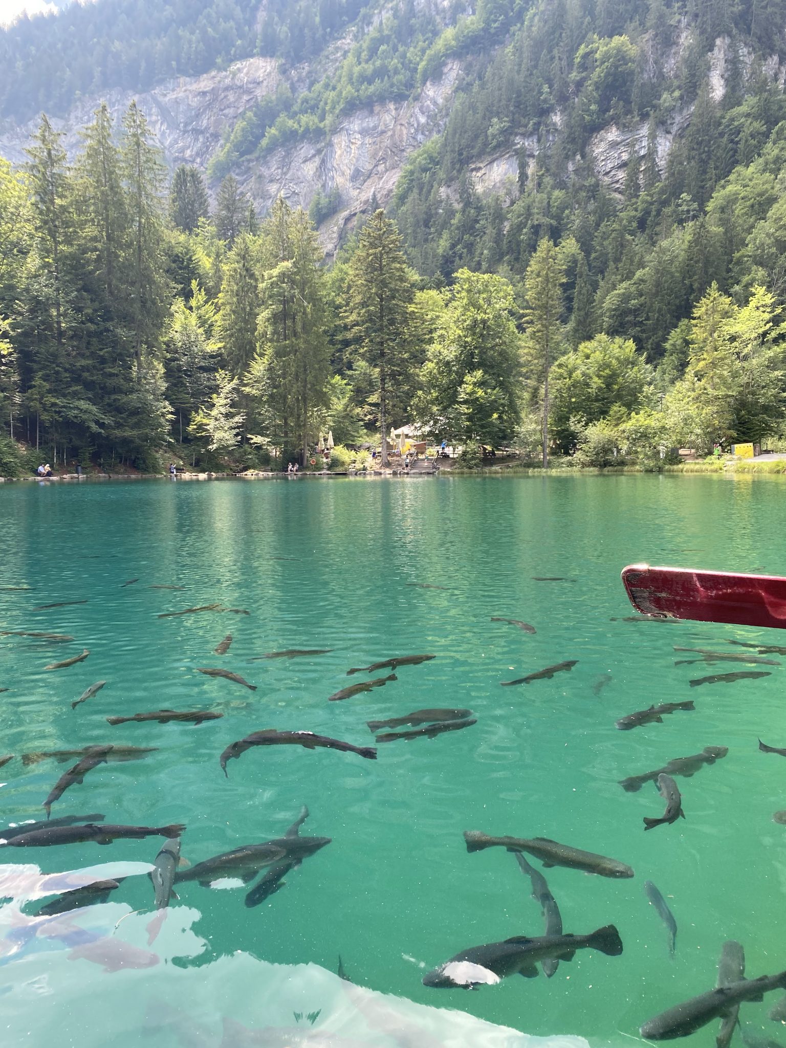 스위스 여행 추천지 – 블라우제 호수 Blausee Lake - Paris Joomin